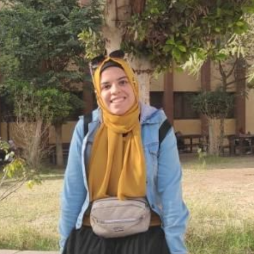 Learn Arabic with Nouran - Cairo: Qualifications: ️Grad...